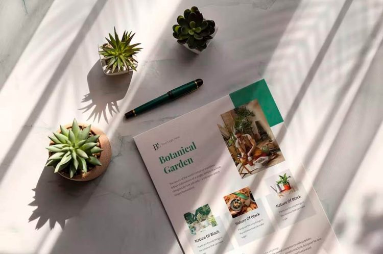 50+ Best Flyer Mockup Templates — The Designest