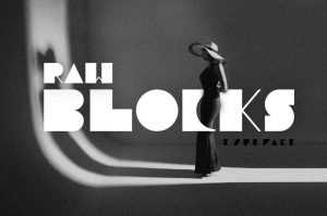 40+ Best Block Fonts With Geometric Look