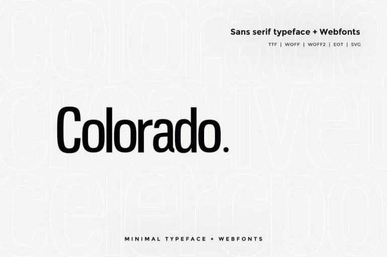 20+ Best Professional Fonts For Business & Designers【Free & Paid】