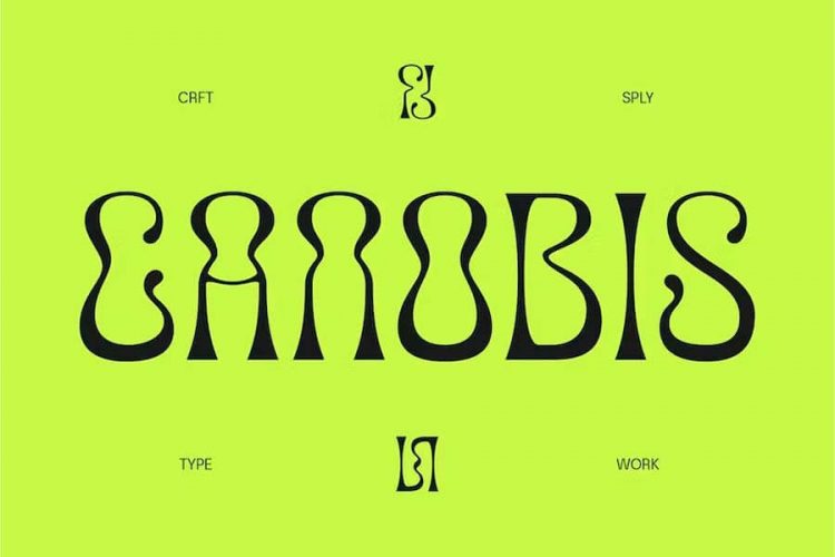 35+ Psychedelic Fonts For Mind-Expanding Designs【Free & Paid】