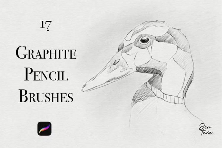 30+ Best Free Procreate Pencil Brushes (incl. Paid Versions)