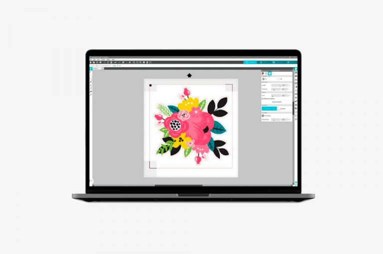 12 Best Software For Cricut in 2024