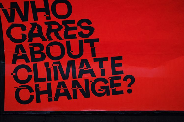 Design Trends in Digital Signage